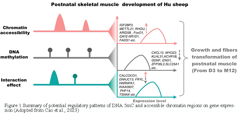 Single-cell multi-omics analysis of epigenetic and transcriptional ...