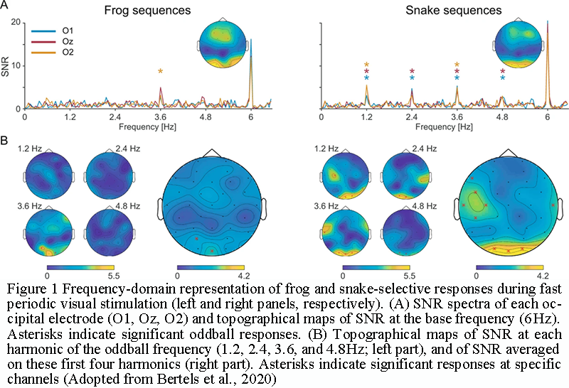 Evolution of Sensory Systems in Snakes: Infrared Detection ...