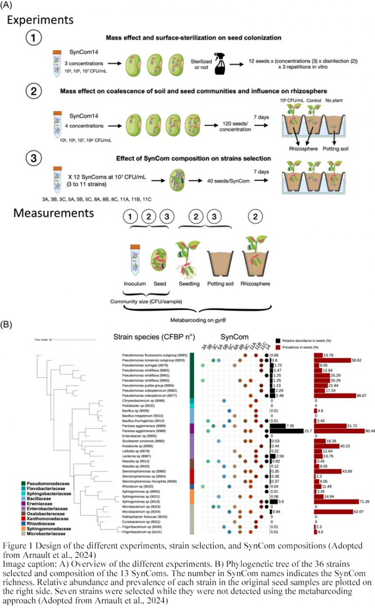 Innovative Strategies for Soil Health Restoration in Saline-Alkali ...