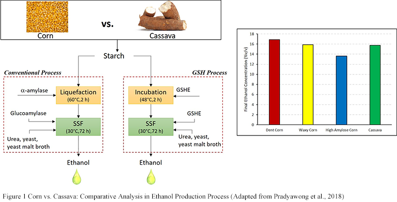 A Comprehensive Review of Corn Ethanol Fuel Production: From ...