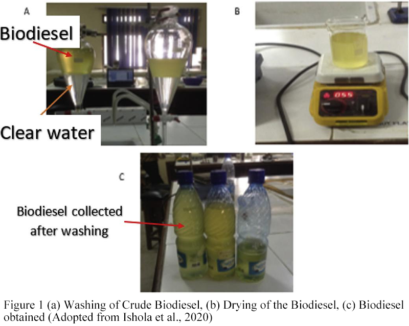A Comprehensive Review of Palm Oil in Biodiesel Production: From ...