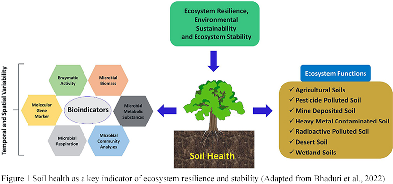 Microbial Decomposition and Soil Health: Mechanisms and Ecological ...