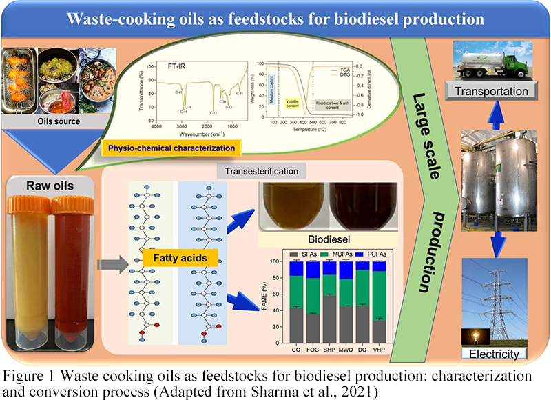 Process Study on Microbial Conversion of Kitchen Waste into Biodiesel ...
