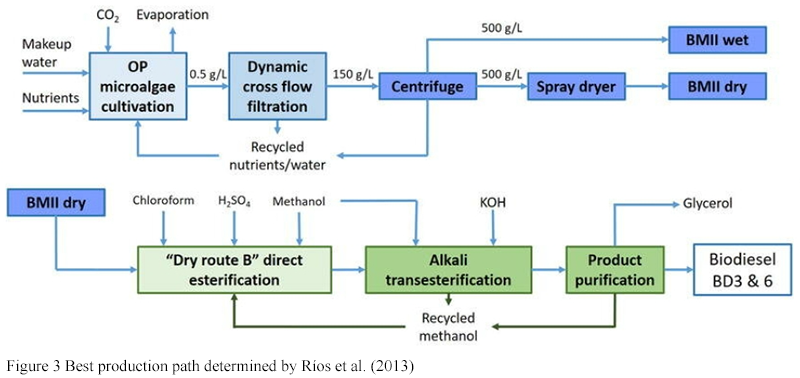 Application and Cultivation Optimization of Marine Microalgae in ...