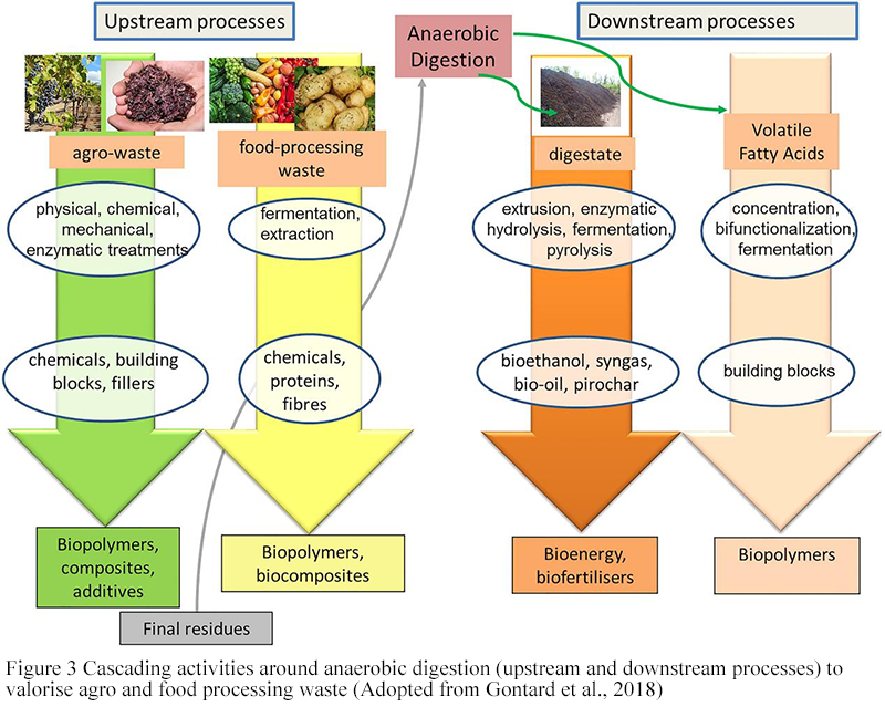 Resource Utilization of Agricultural Waste: From Biomass Energy to ...