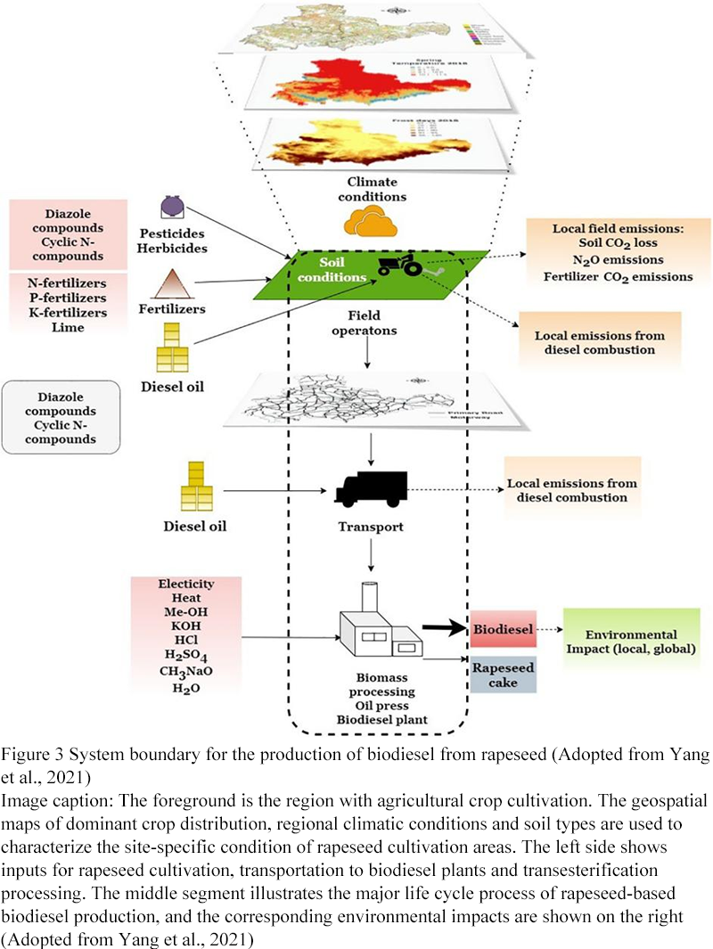 Optimizing Rapeseed Oil Yield for Sustainable Biodiesel Production ...